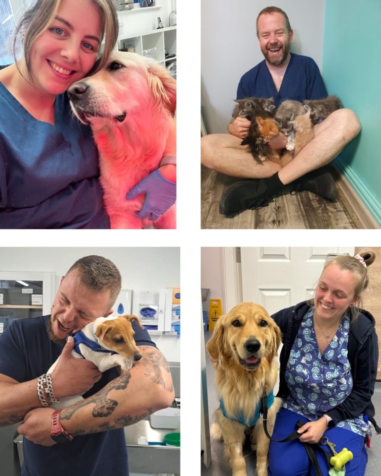 Medicor Veterinary Practice – Quality Veterinary Services You Can Trust